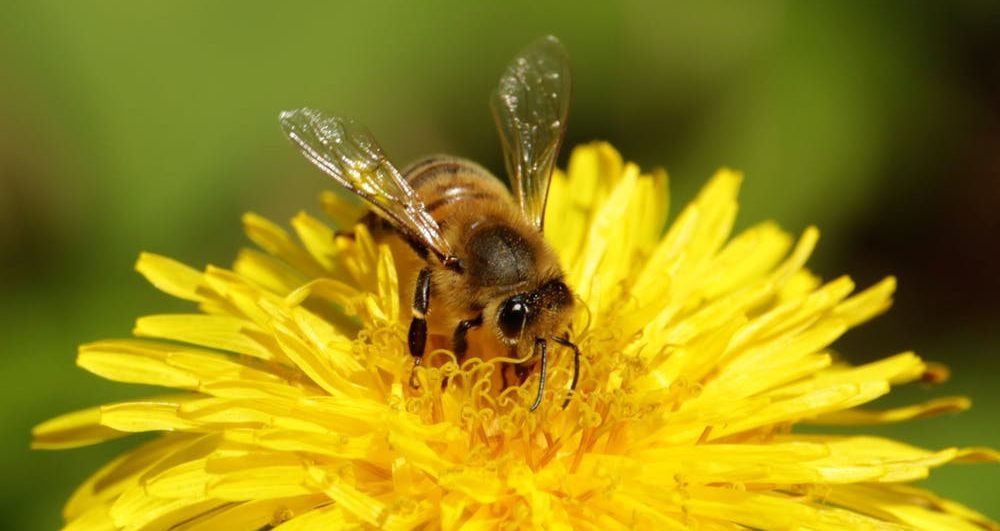 Transforming Your New Build Garden | wienerberger