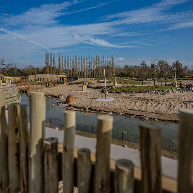 Supporting Chester Zoo’s Groundbreaking Heart of Africa | wienerberger UK