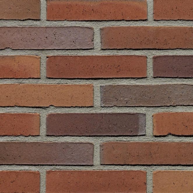 Ashley Red Multi 50mm