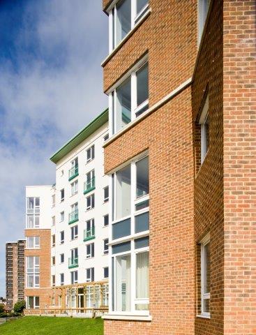 Nutcombe Multi Stock