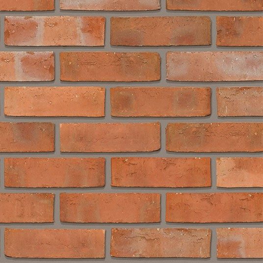 Autumn Russet Sovereign Stock