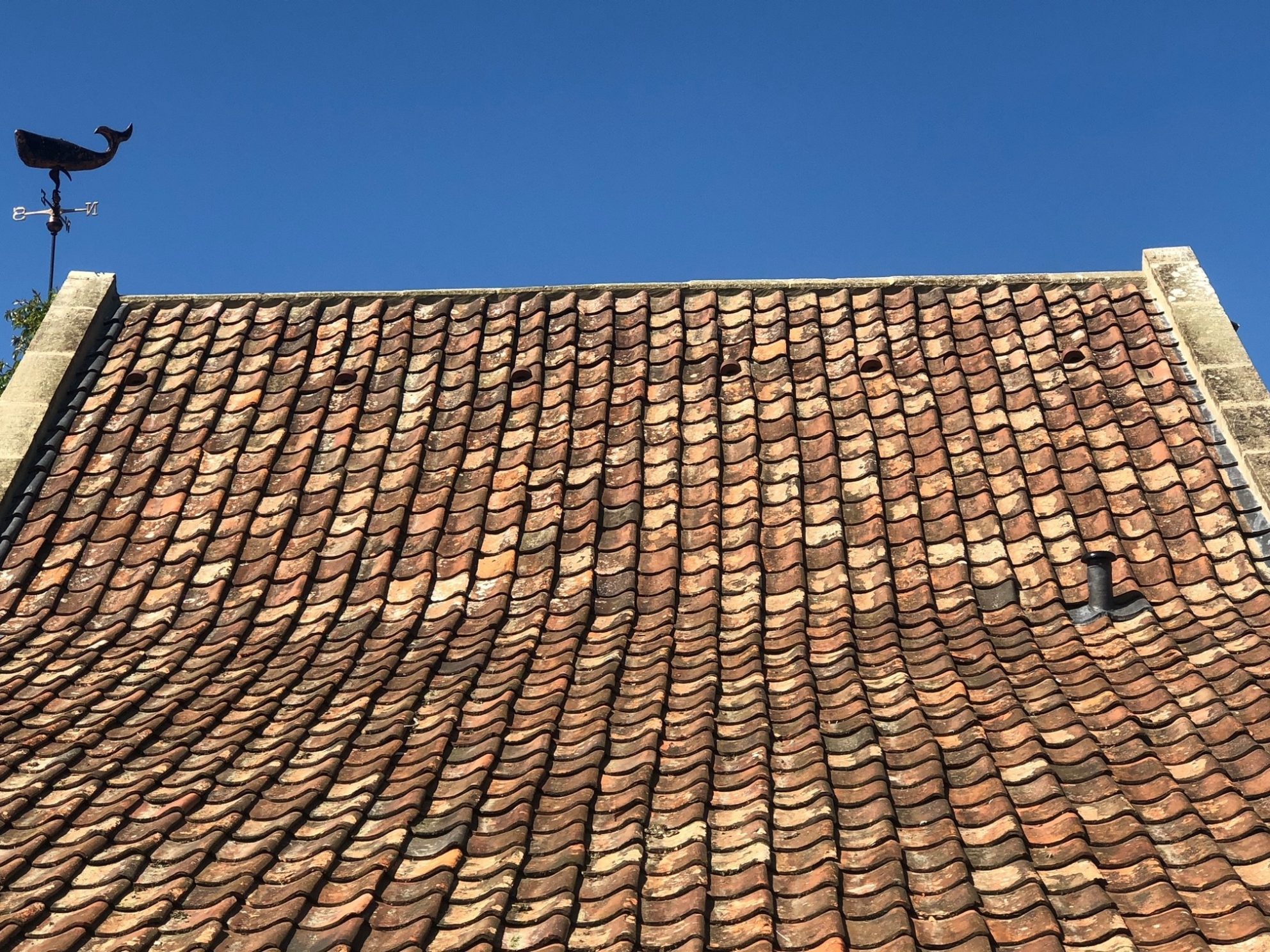 Eco-Habitat Bat & Bird Boxes | wienerberger UK