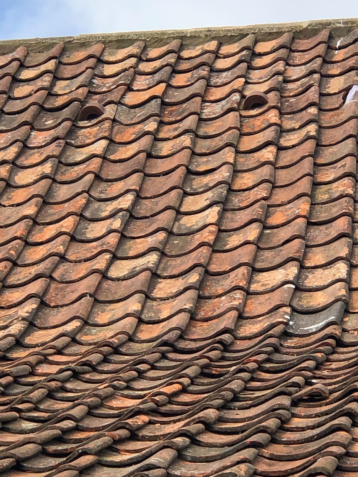 Eco-Habitat Bat & Bird Boxes | wienerberger UK