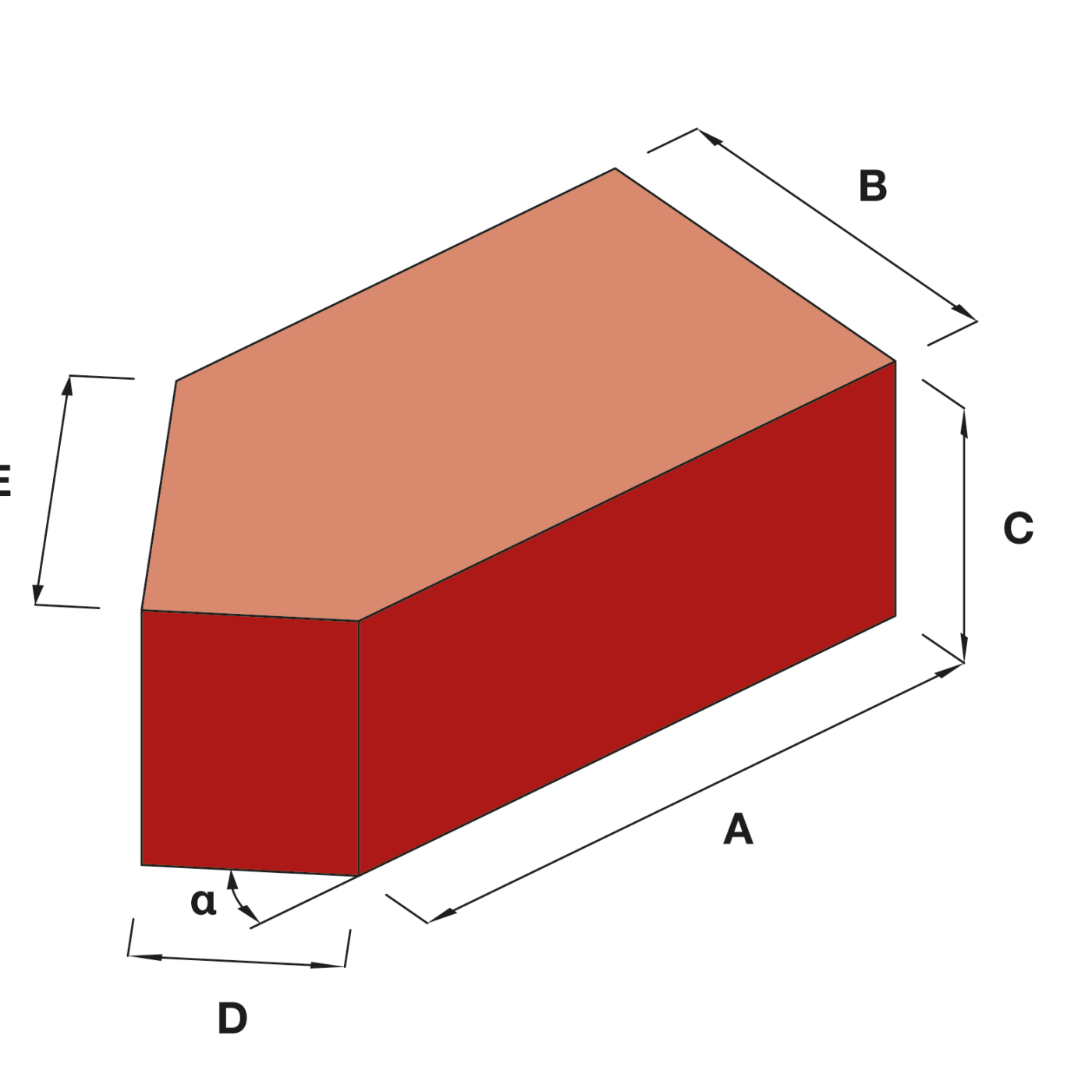 Angle and Cant Bricks