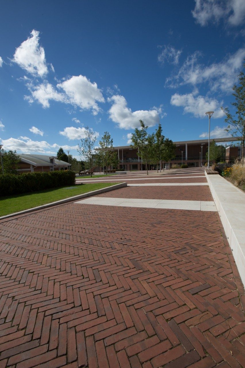 Clay vs. Concrete Pavers: Understanding the Differences