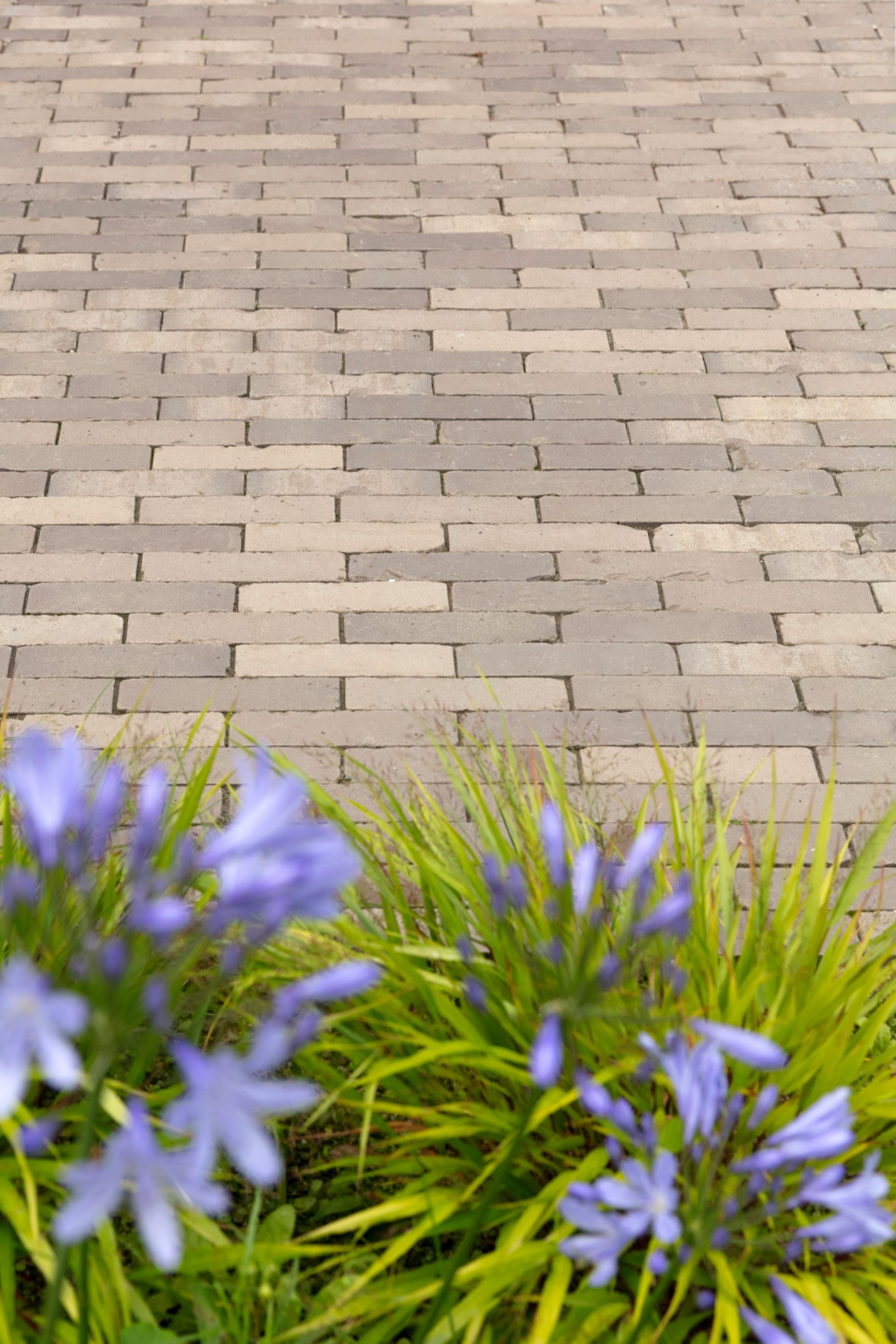 Maintaining Your Clay Paving