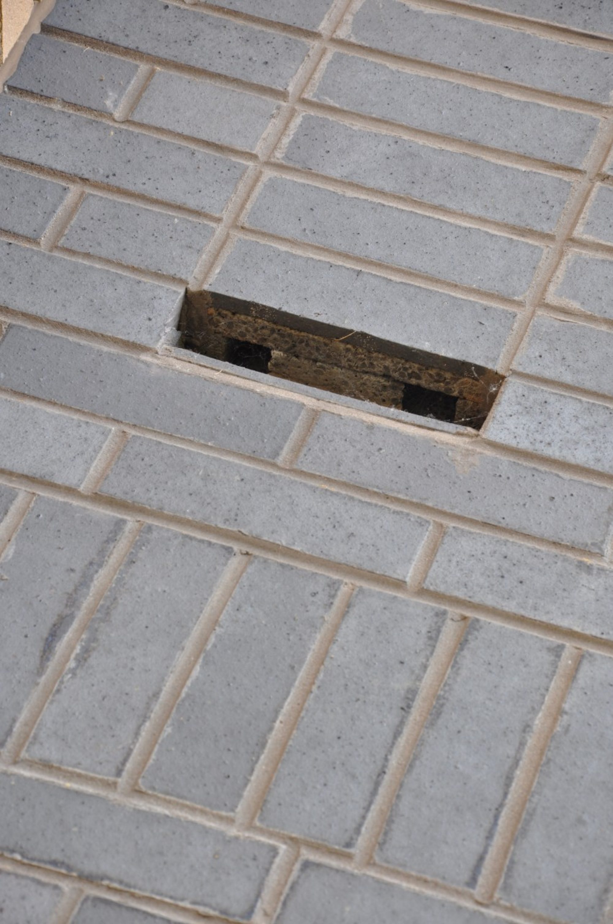 Guide to Bat & Bird Boxes | Wienerberger UK