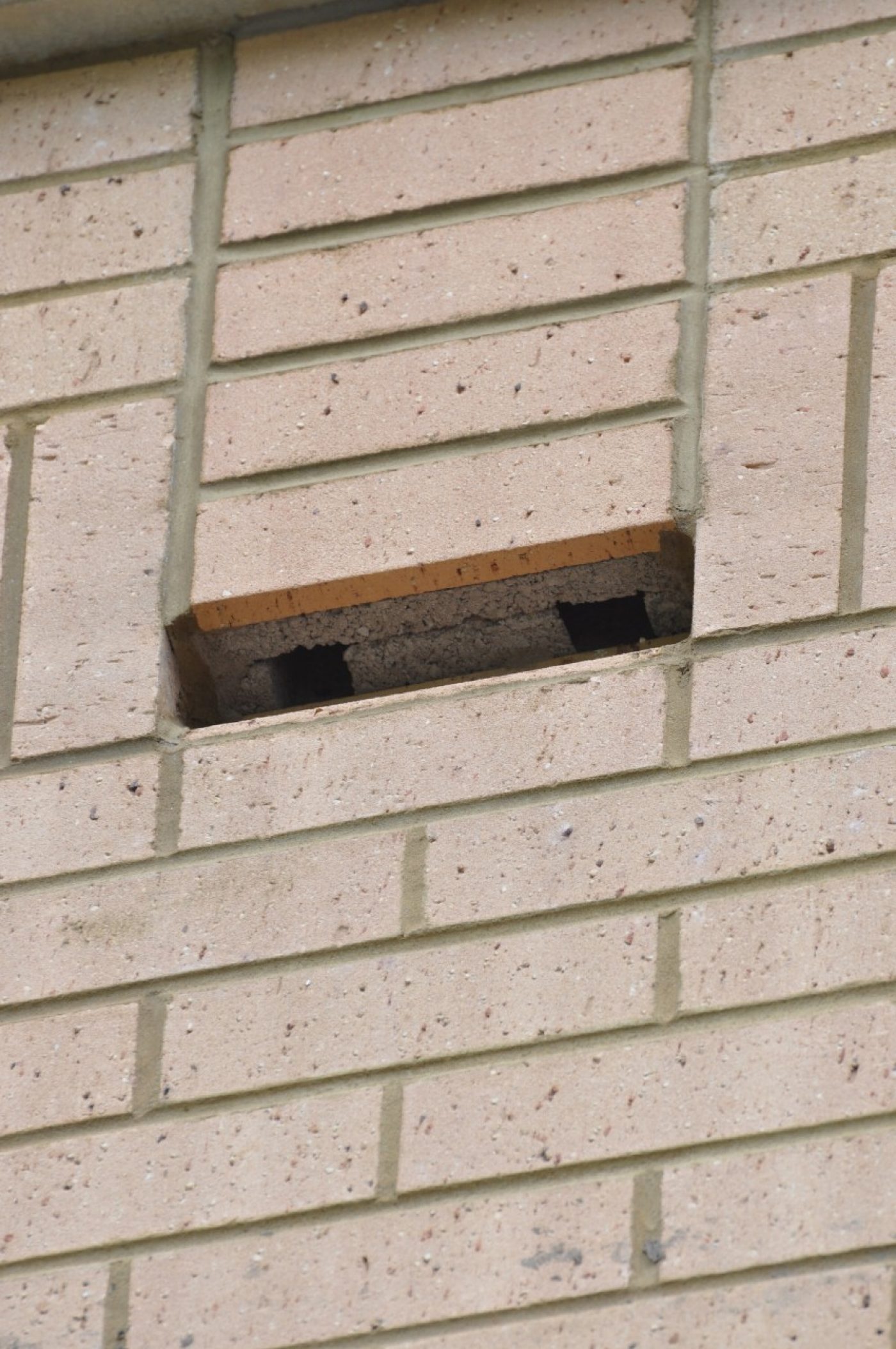 Guide to Bat & Bird Boxes | wienerberger UK