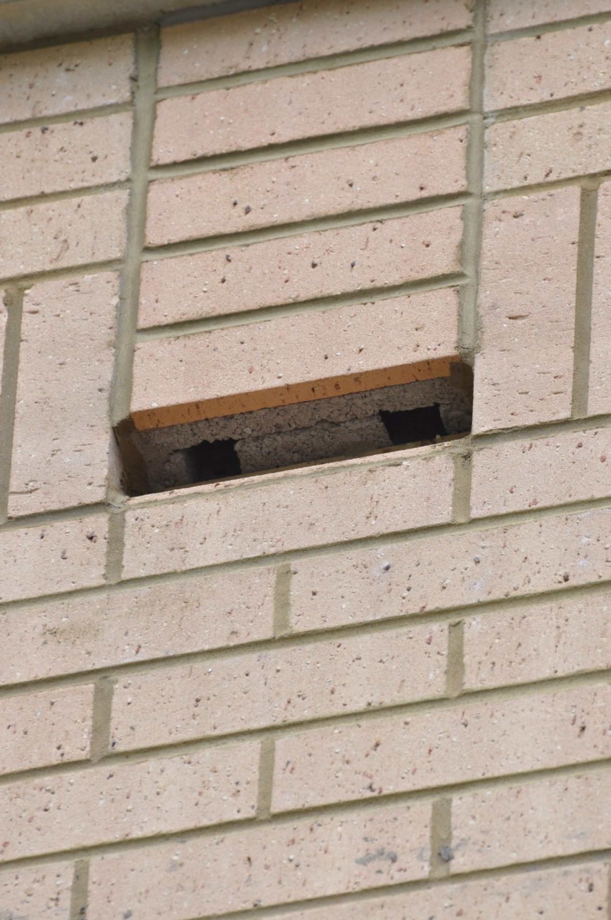 Guide to Bat & Bird Boxes | Wienerberger UK