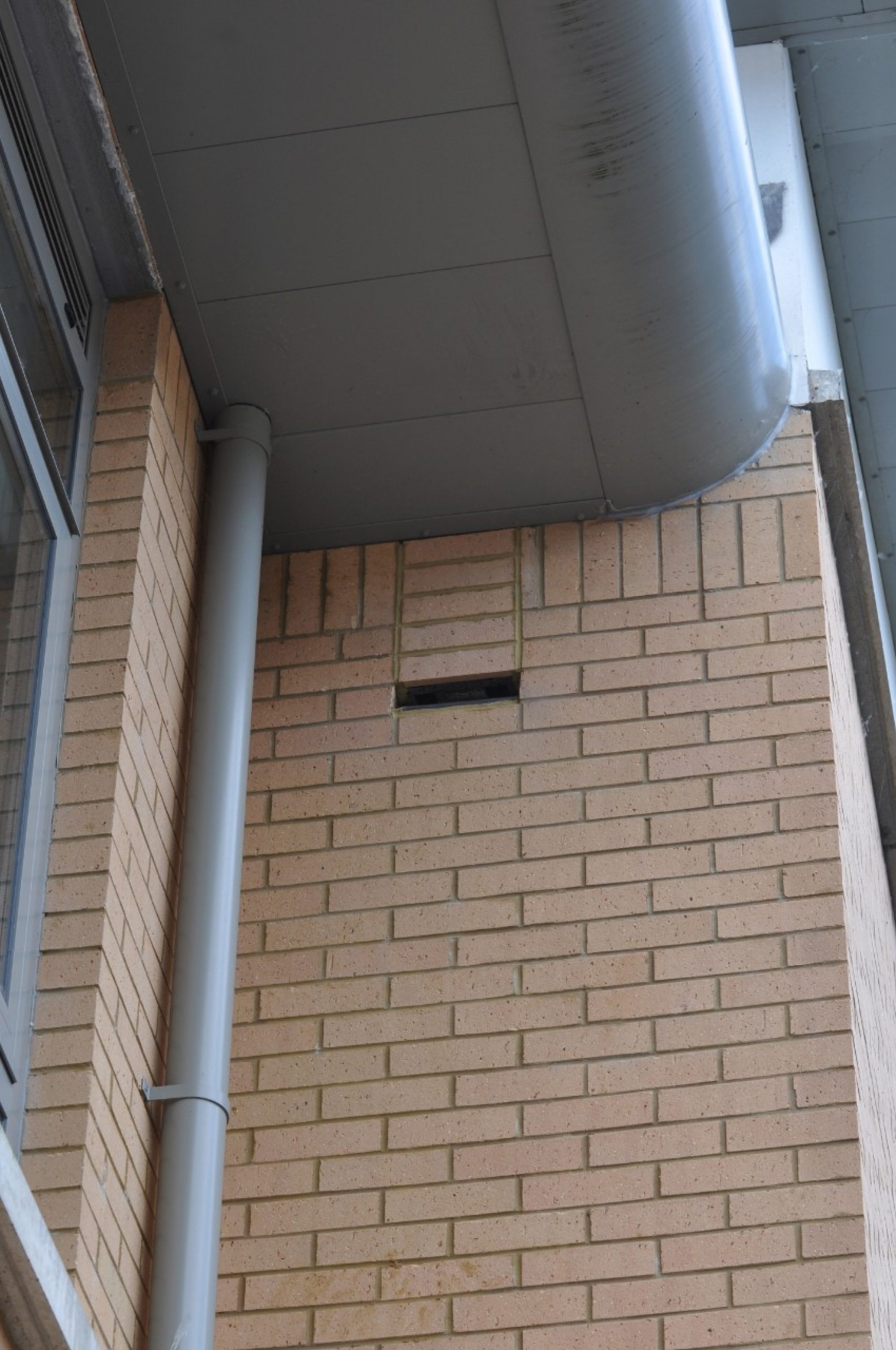 Guide to Bat & Bird Boxes | Wienerberger UK