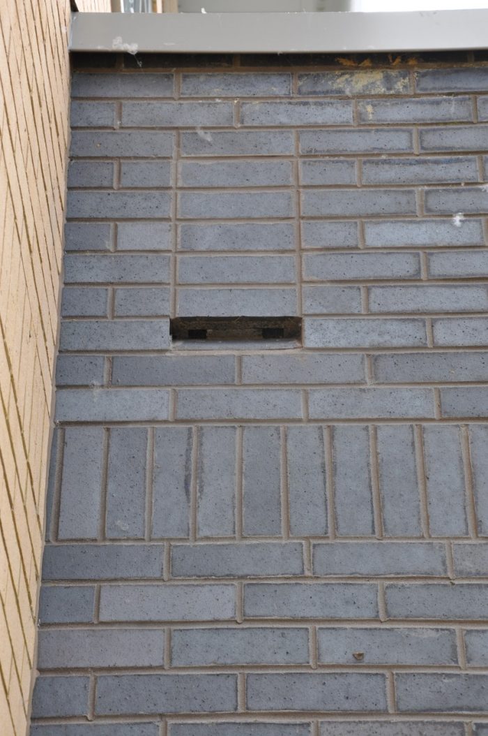 Guide to Bat & Bird Boxes | wienerberger UK