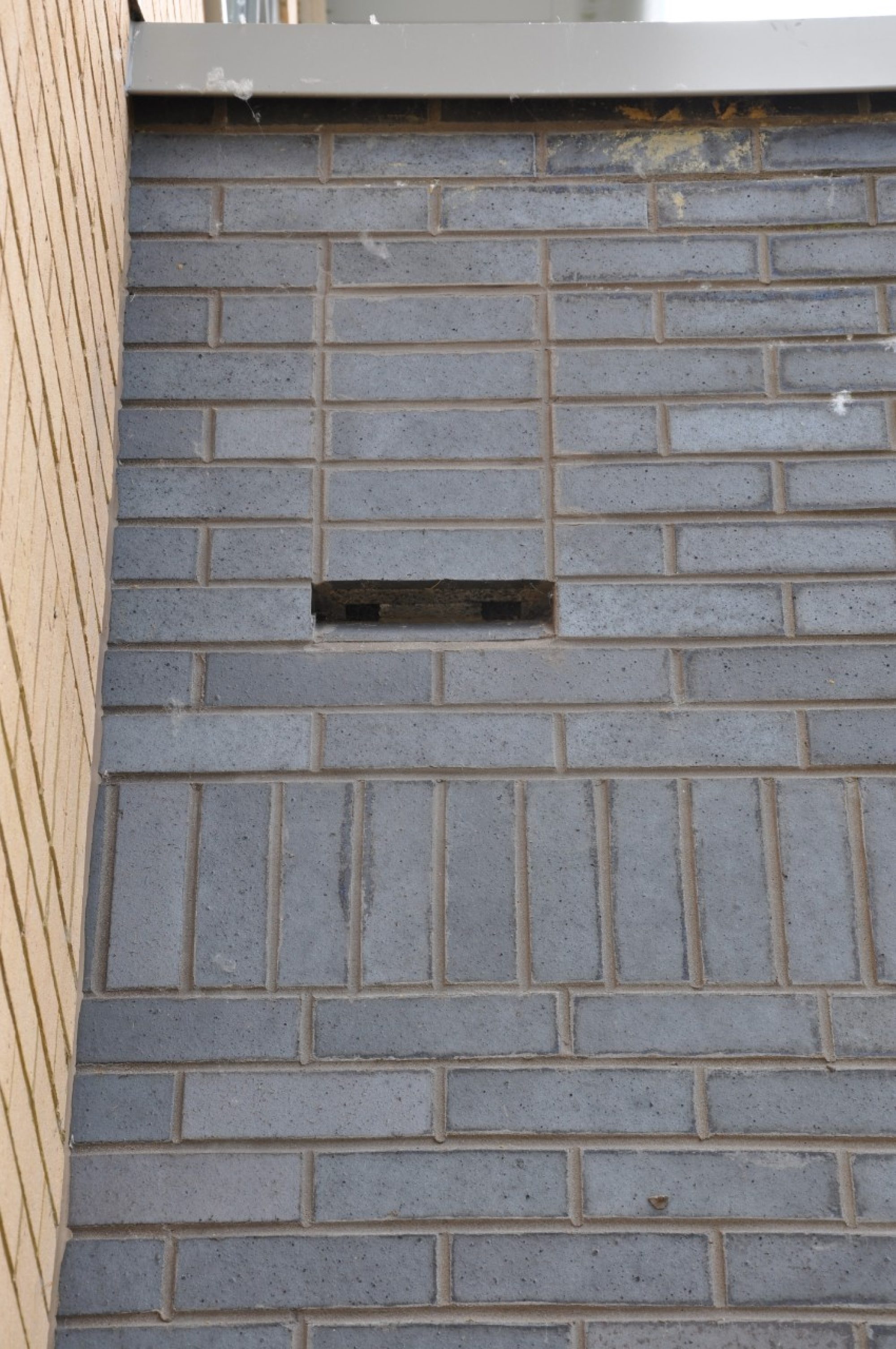 Guide to Bat & Bird Boxes | wienerberger UK