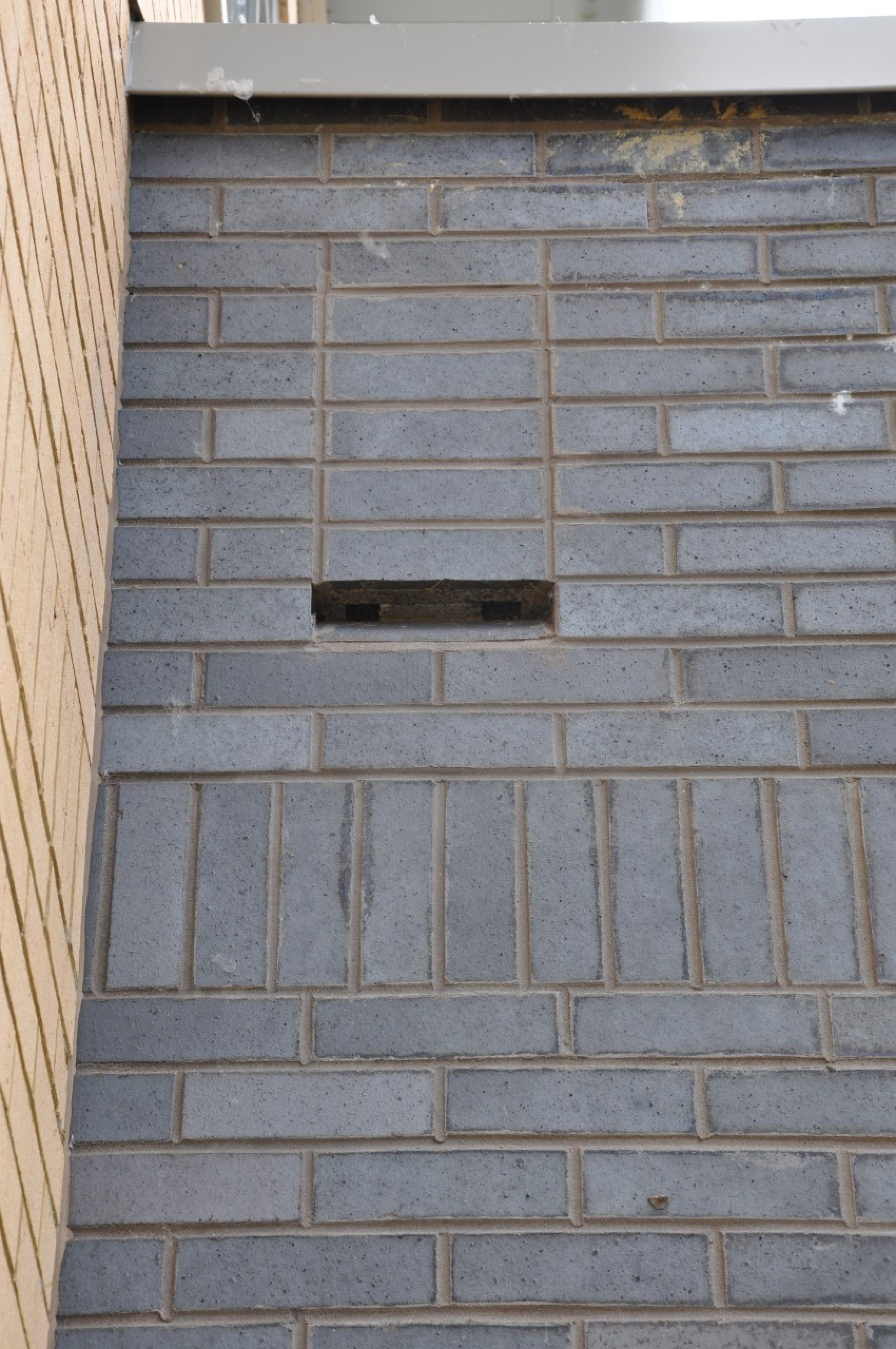 Guide to Bat & Bird Boxes | wienerberger UK